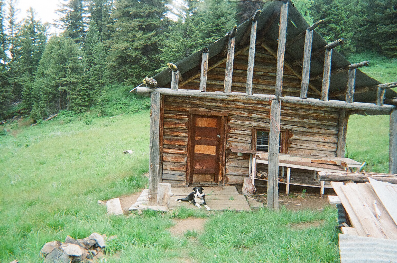 Leroy’s Dog School – Ranch Dog Rescue